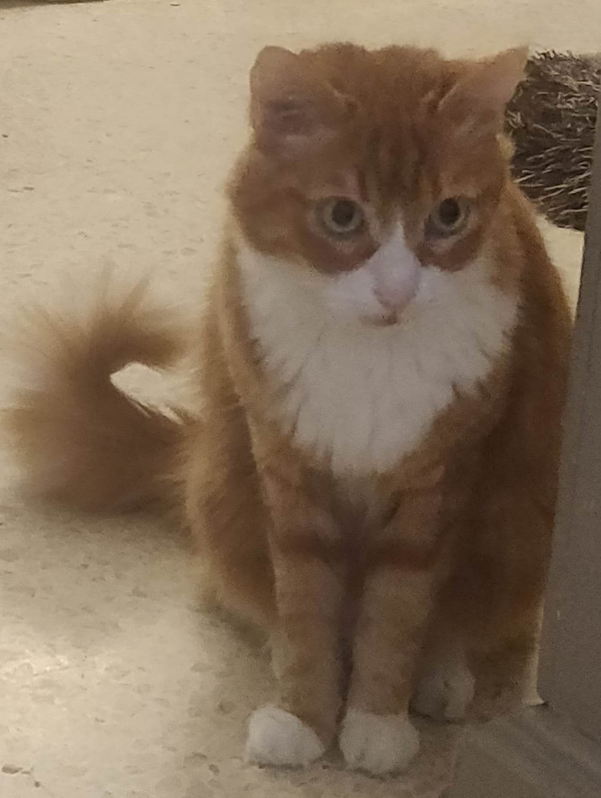 Ella & Thea - C.L.A.W.S Malta